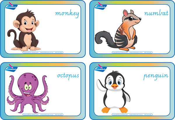 VIC, NT & WA Animal Phonics Flashcards Pack 2 | Writeboards | Children ...