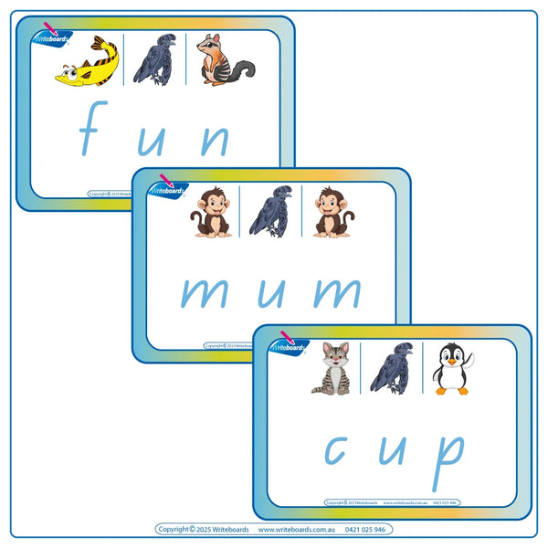 Middle Letter 'U' CVC Flashcards – QLD Modern Cursive for Teachers ...