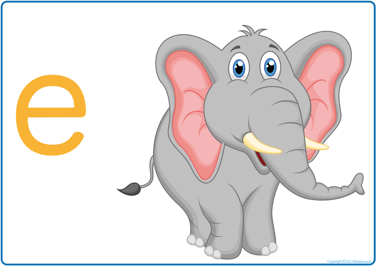 Animal Phonics Posters - Writeboards