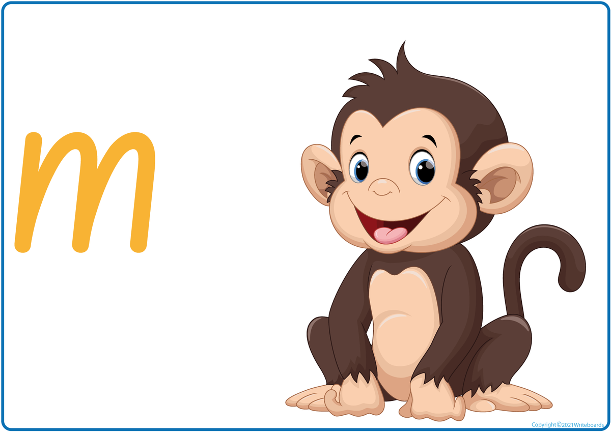 NSW Foundation Font Animal Phonics Posters