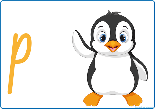 NSW Foundation Font Animal Phonics Posters | Writeboards | Children’s ...